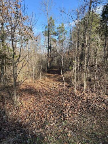 Considerations for Trail-Building on Your Rural Property - Grit